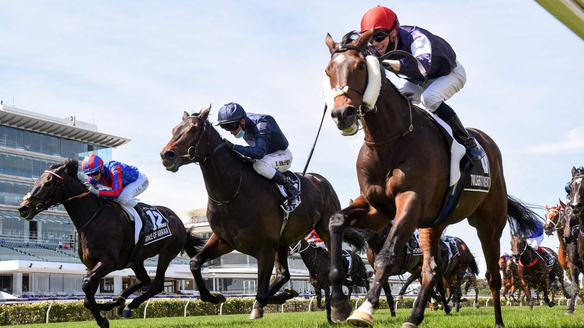 Your Guide to the Melbourne Cup - Grand View Hotel
